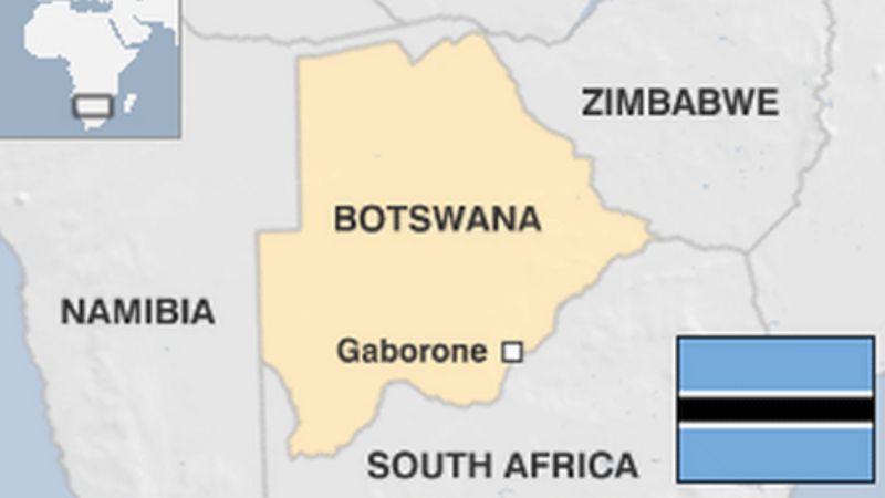 Botswana to ban hunting over wildlife species decline - BBC News