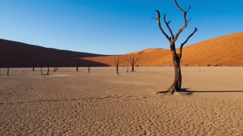 How could we intervene to change the climate? - BBC News