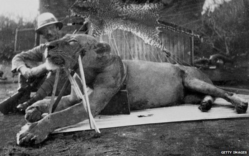 The Lion Killer Who Became An Israeli Hero Bbc News