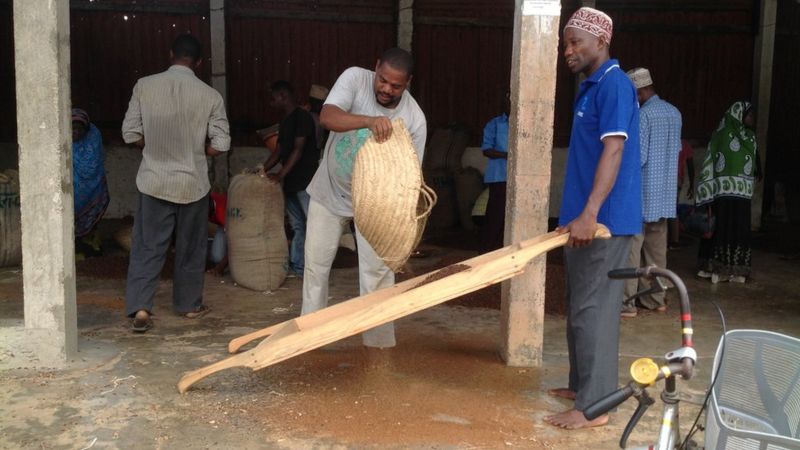 In pictures: Zanzibar's clove harvest - BBC News