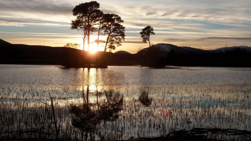 Your pictures of Scotland: 2 - 9 January - BBC News