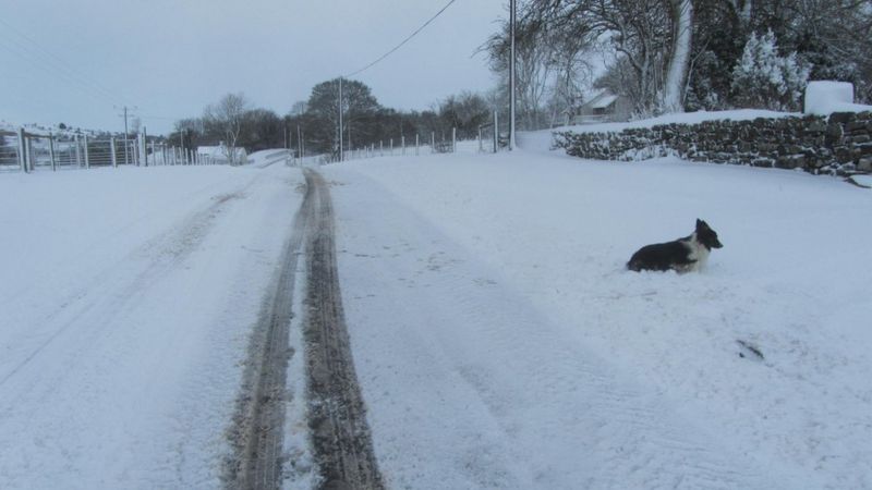 Your photos of the UK snow - BBC Weather