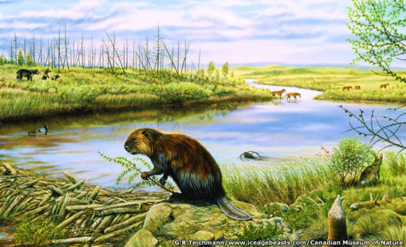 Ancient climate records 'back predictions' - BBC News