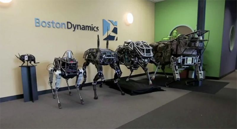 Taking the robot dog for a walk - BBC News