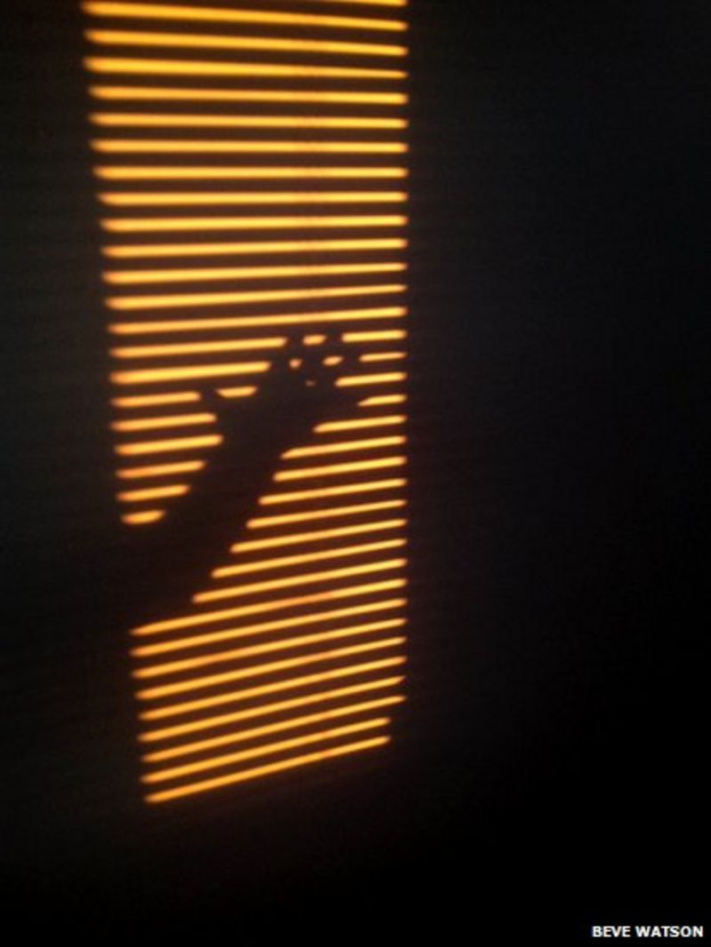 Your pictures: Shadows - BBC News