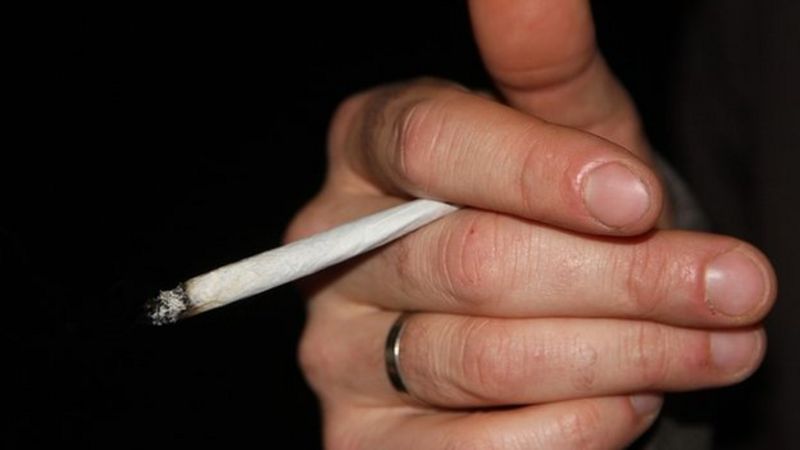 Most UK cannabis 'super strength skunk' - BBC News