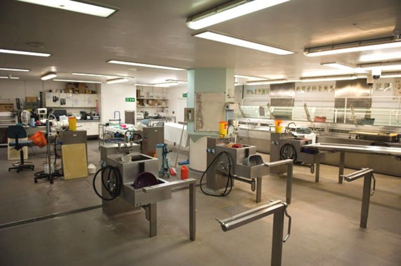 Seeing inside dead bodies - BBC News