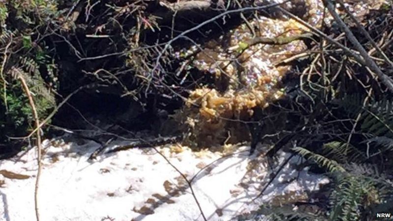 'Slurry spill' inquiry launched at Towy valley river - BBC News
