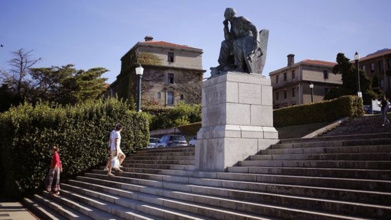 The symbolic statue dividing a South African university - BBC News