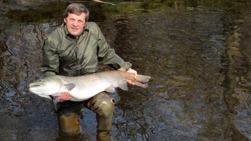 The beast of the Danube - BBC News