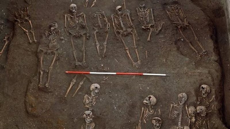 Black Death study for Cambridge college skeletons - BBC News