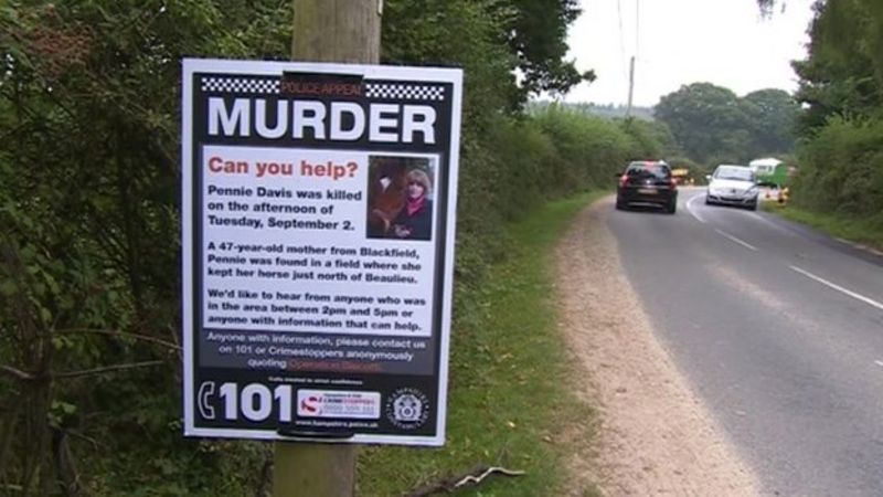 Pennie Davis death: Court case revealed secrets of New Forest family ...