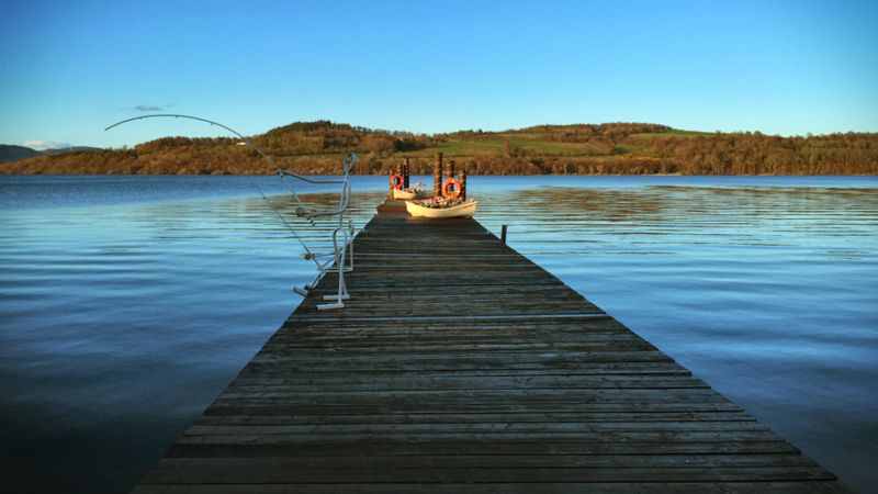 Your pictures of Scotland: 24 April - 1 May - BBC News