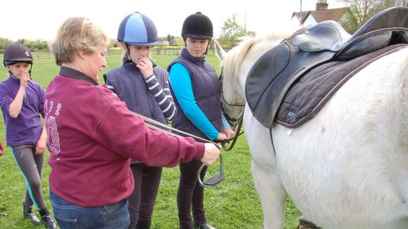 School ponies help boost pupils' life skills - BBC News