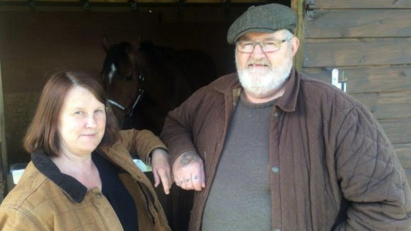 New foal for woman who bred Dream Alliance on allotment - BBC News