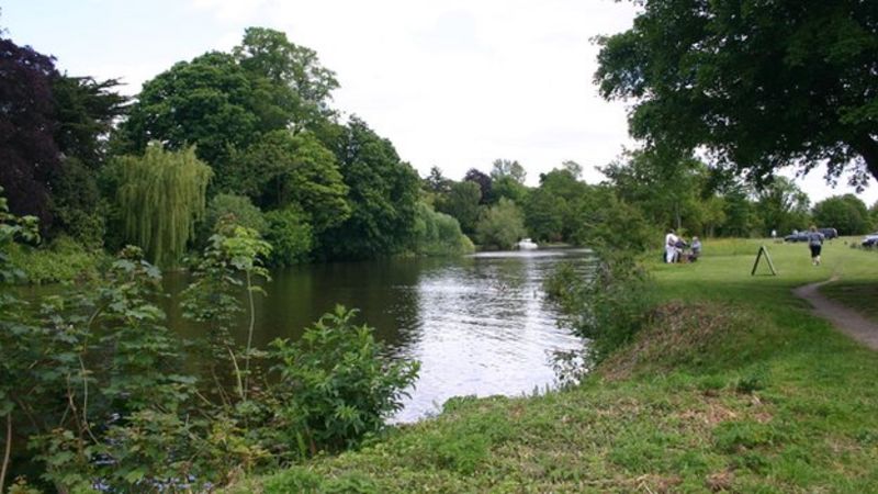 Magna Carta: Runnymede, the meadow where history was made - BBC News
