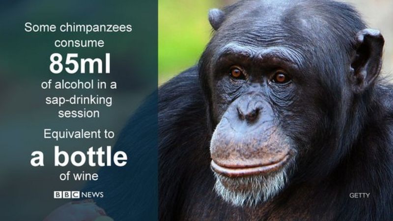 Go Figure: The week in numbers - BBC News