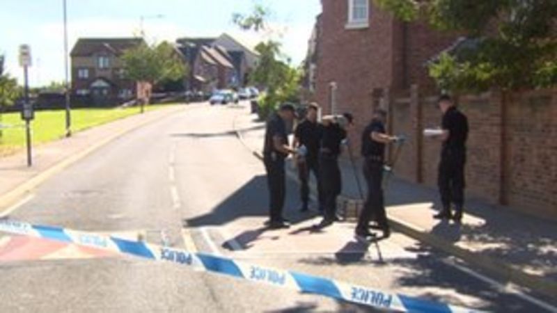 Sheffield murder inquiry launched after fatal stabbing - BBC News