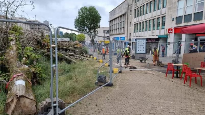 Armada Way: Felled trees could be removed by end of August - BBC News