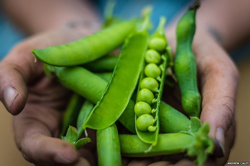 Your pictures: Tiny - BBC News