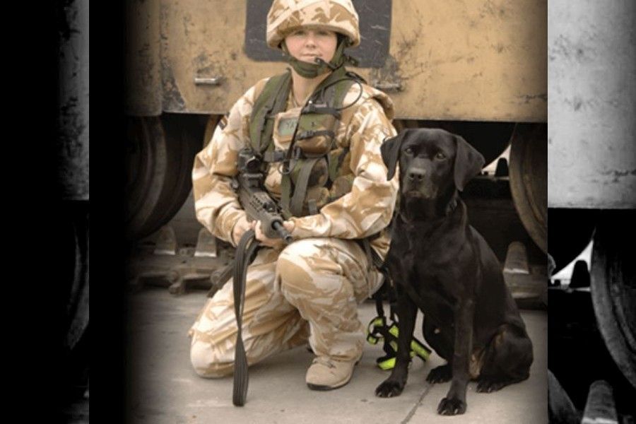 Remembered: Simon the hero rat-catching navy cat - BBC News