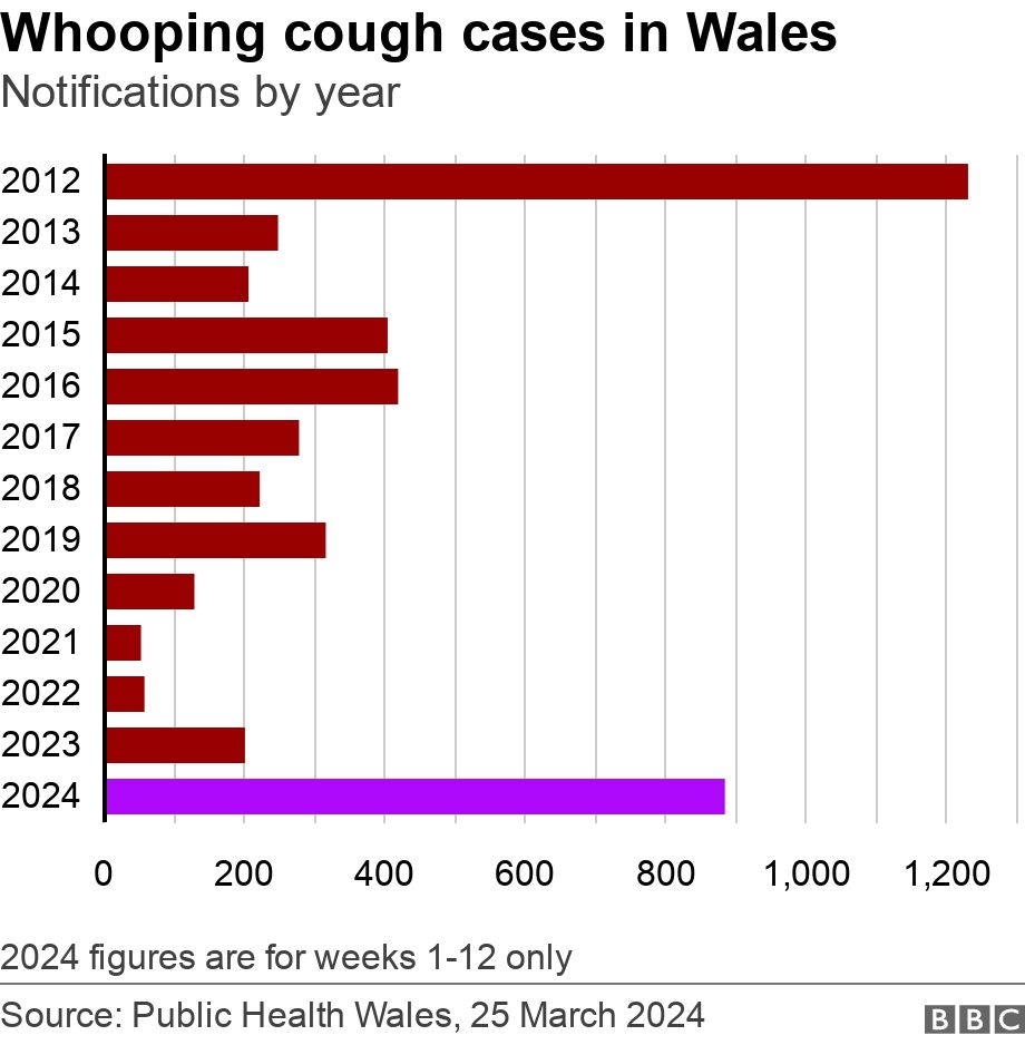Vaccination plea as whooping cough cases reach 11-year high - BBC News