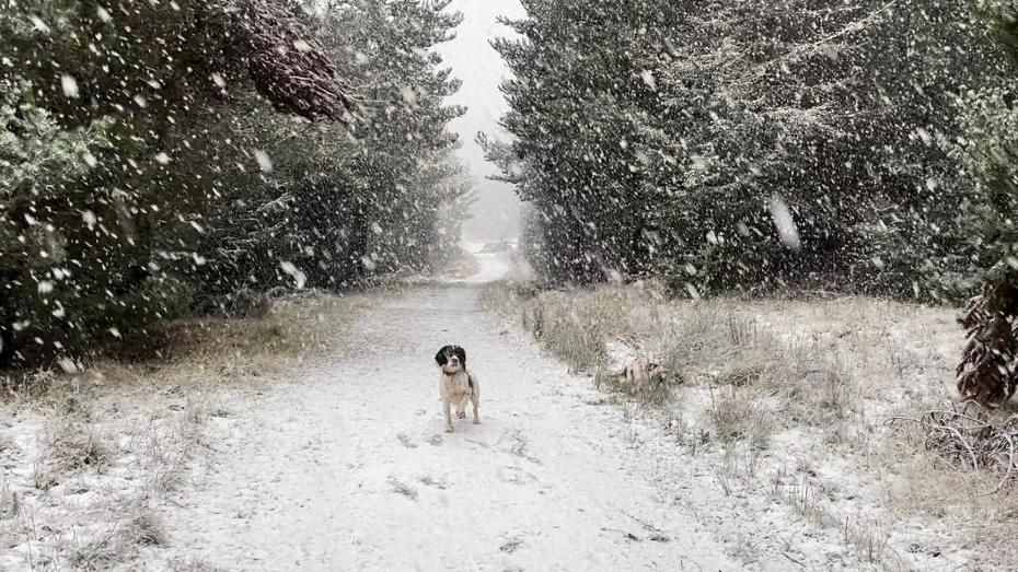 Storm Barra: Pictures of wind and snow from Scotland - BBC News