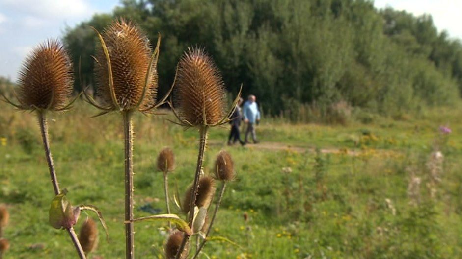 Gedling Colliery miners mark 25 years since pit closure - BBC News