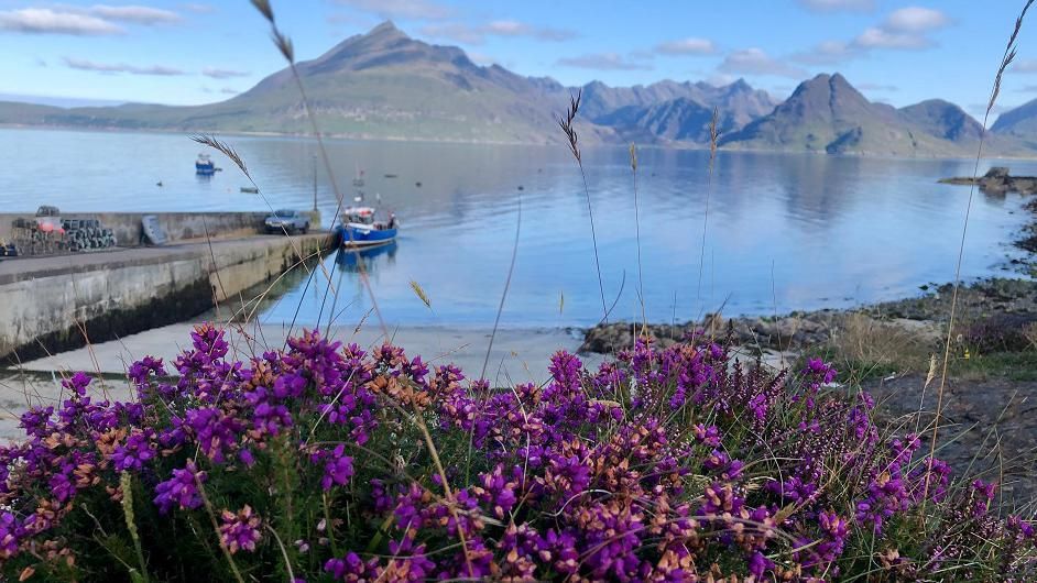 In pictures: Summer staycations in Scotland - BBC News