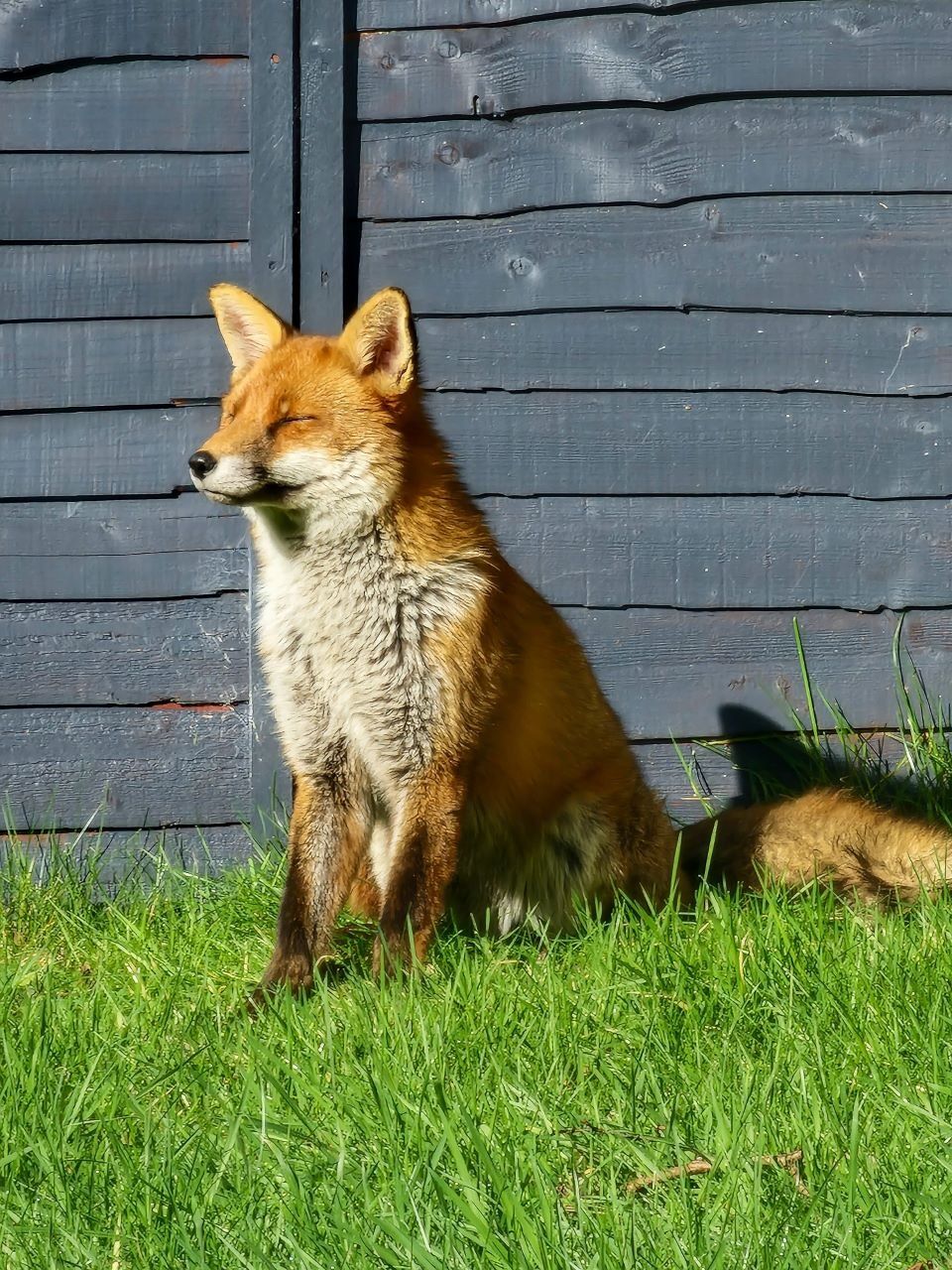 Your pictures of Scotland: 24 February - 3 March - BBC News