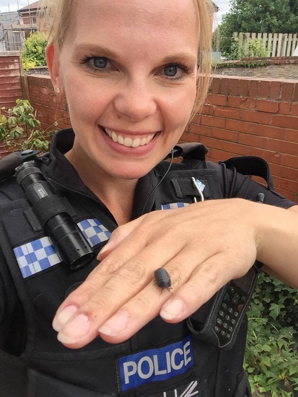 Devon and Cornwall police officer quits over safety fears - BBC News