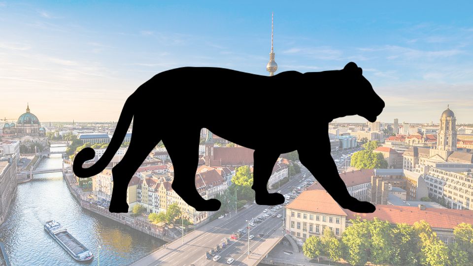 Totem pole appears on Kent coastal path - BBC Newsround