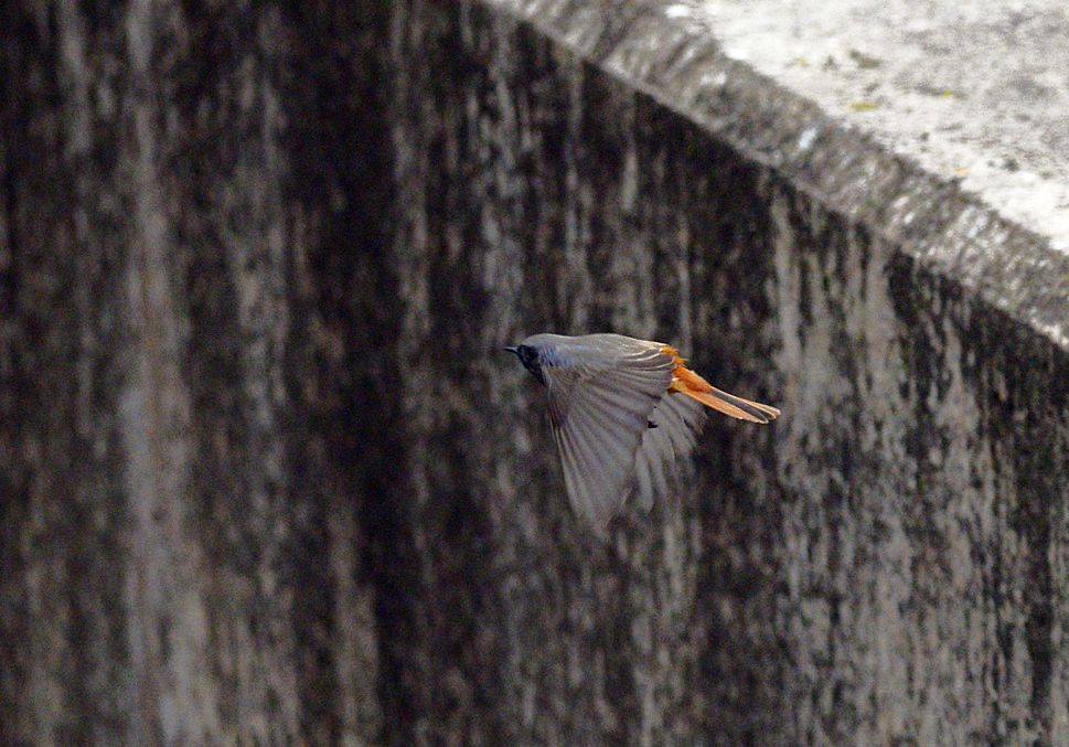 Your pictures of Scotland - BBC News