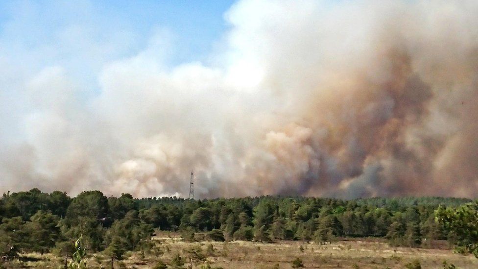 Wareham Forest: Large fire breaks out at beauty spot - BBC News