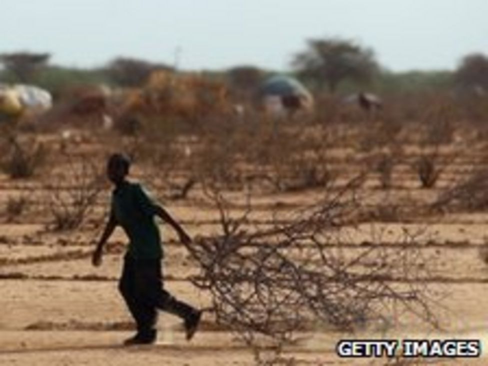 Guide: What is drought and how does it happen? - BBC Newsround