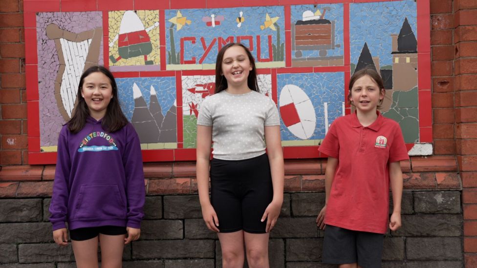 Cwis: Pontypridd - BBC Cymru Fyw