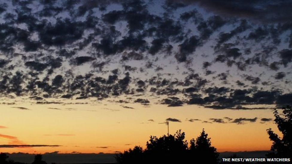 Gallery: Weekend Weather Snaps - BBC Weather