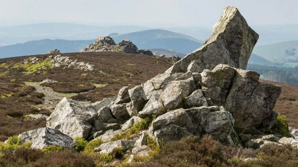 Bigger Stiperstones reserve 'would protect species and climate' - BBC News