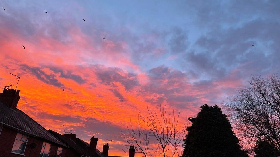 Stunning sunrise skies captured across England - BBC Weather