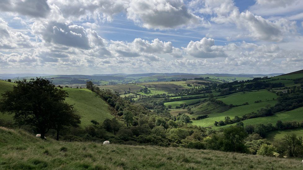 Environment: Wales-England Marches plan to protect nature - BBC News