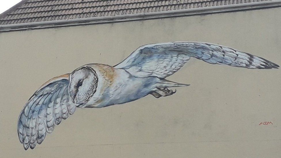 Lowestoft: Street artist ATM creates barn owl mural - BBC News