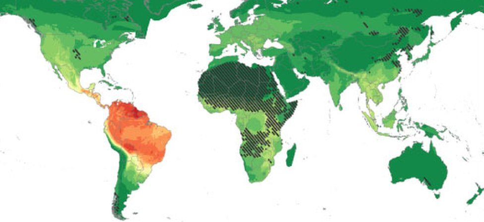 Danger map reveals health threat zone - BBC News