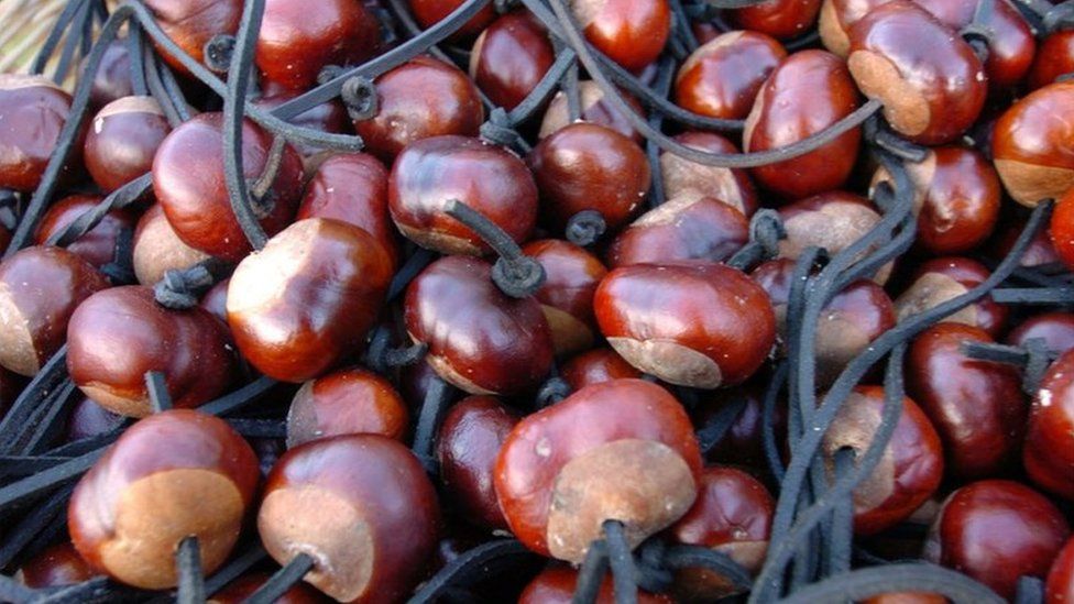 New Milton woman making laundry kits from conkers - BBC News