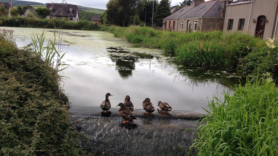 Your pictures of Scotland: 5-12 August - BBC News