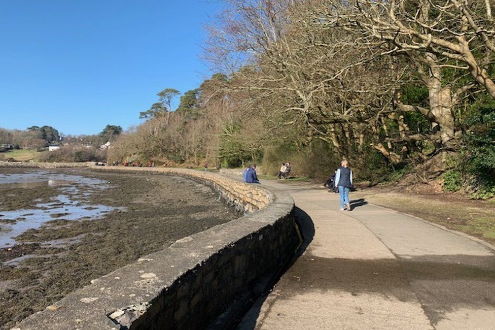 Lle i enaid gael llonydd: Nia Lloyd Jones - BBC Cymru Fyw