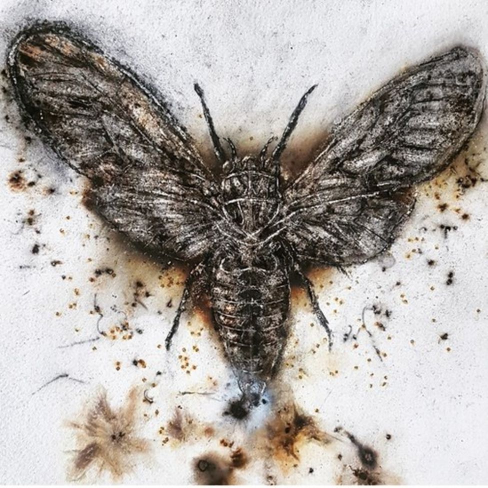 The Scottish artist using gunpowder to promote peace - BBC News