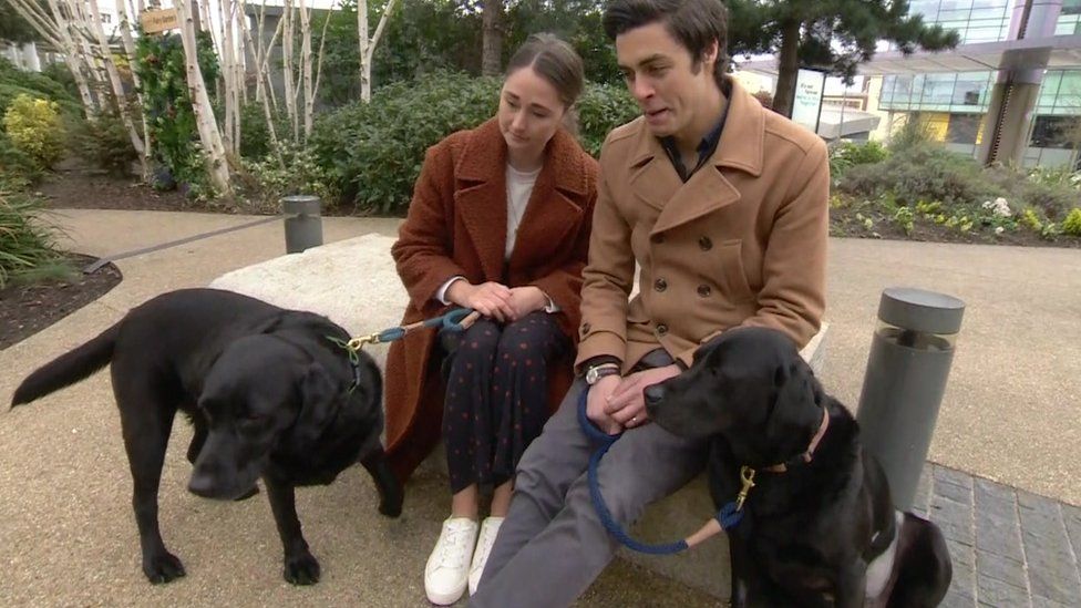 Nantwich couple's 'pure joy' as missing dogs return - BBC News