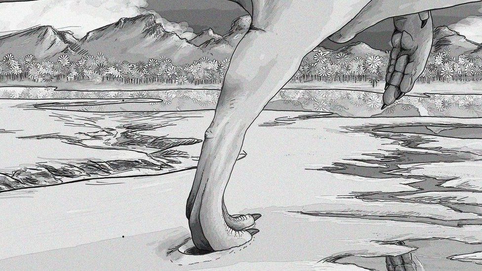 Fossilised footprints reveal super-speedy dinosaurs - BBC Newsround