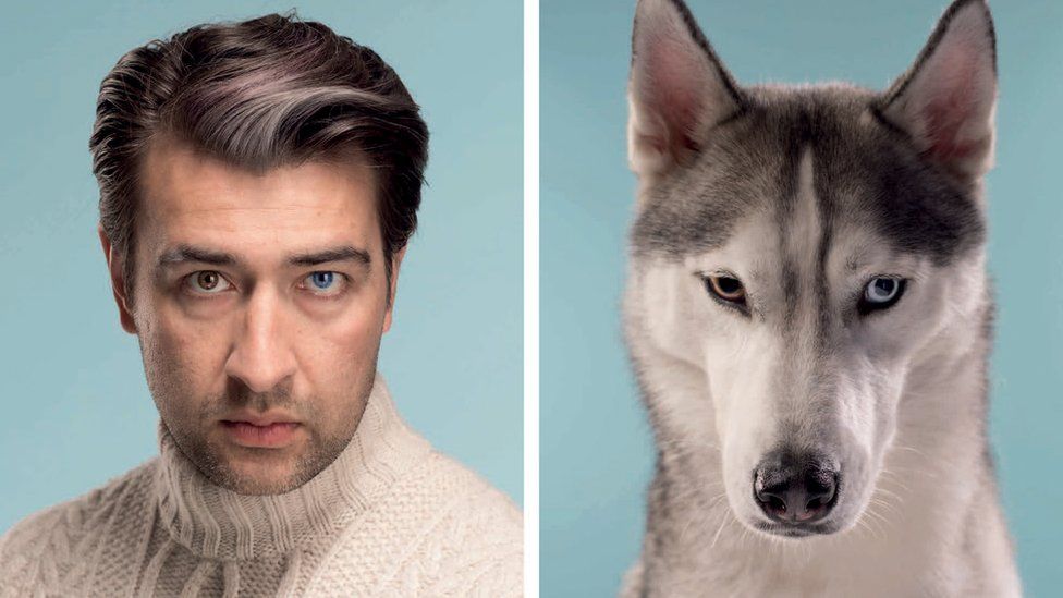 Meet the dogs with human lookalikes! - BBC Newsround