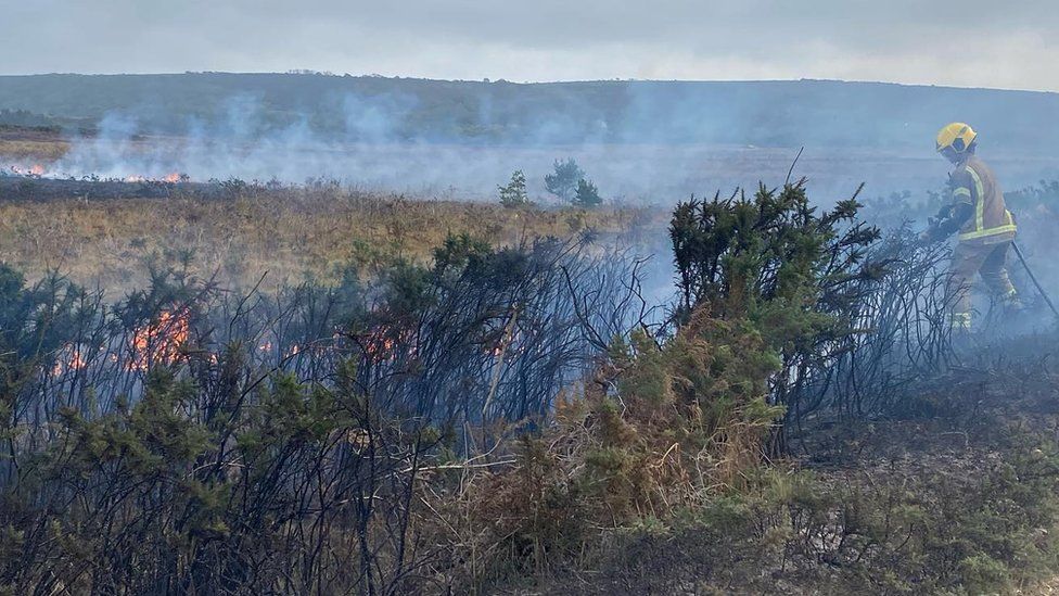 Lulworth coastal heathland fire breaks out - BBC News